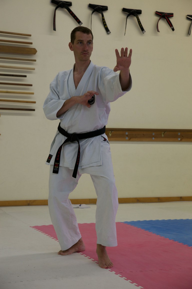 Die Kata des Shima-ha Shorin ryu – Oshiro Dojo Schwerte